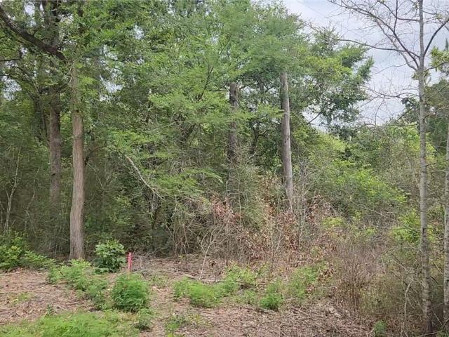 Lot 10 Sweetleaf Lane