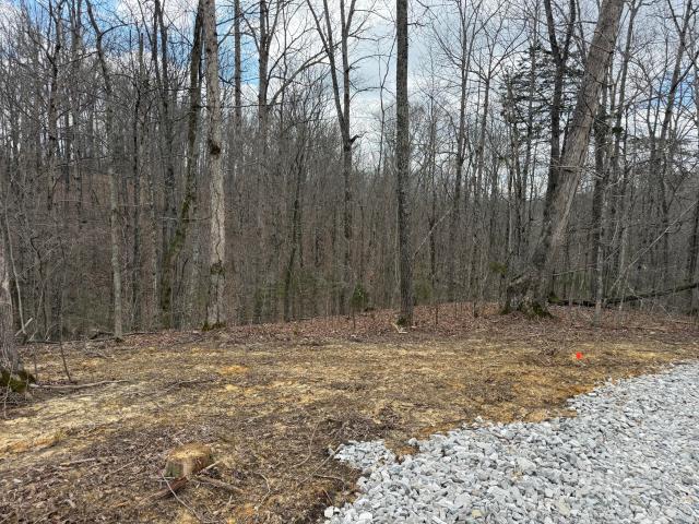 Lot 10 Phase 2 Stearns Hollow Road