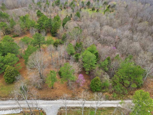 Lot 10 Pine Trail