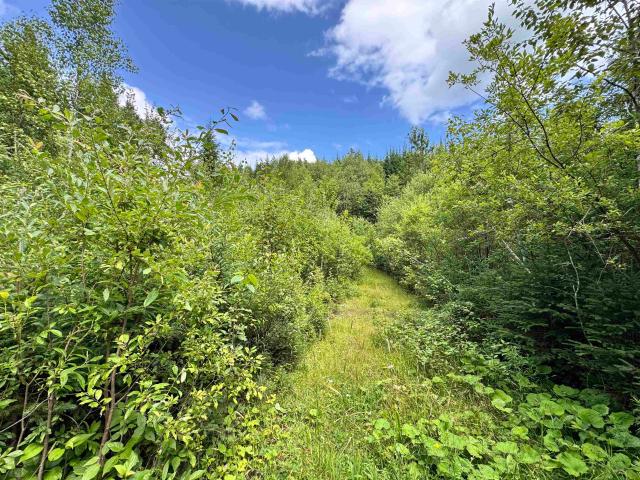 Lot 10 Quimby Road