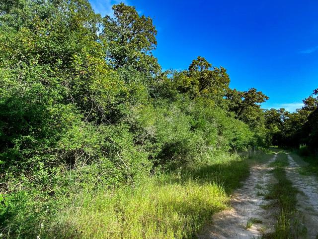 Lot 10 Ranch Road Dr Drive