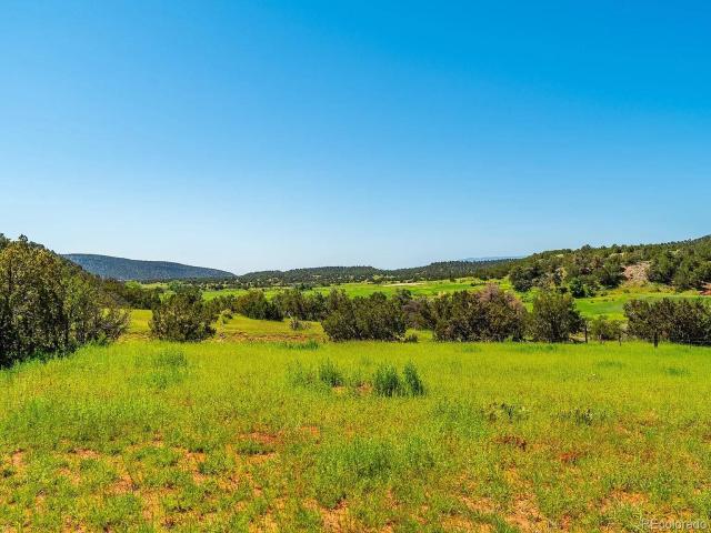 Lot 10 Rice Mountain way