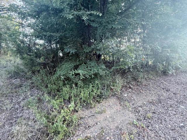 Lot 10 Ridge