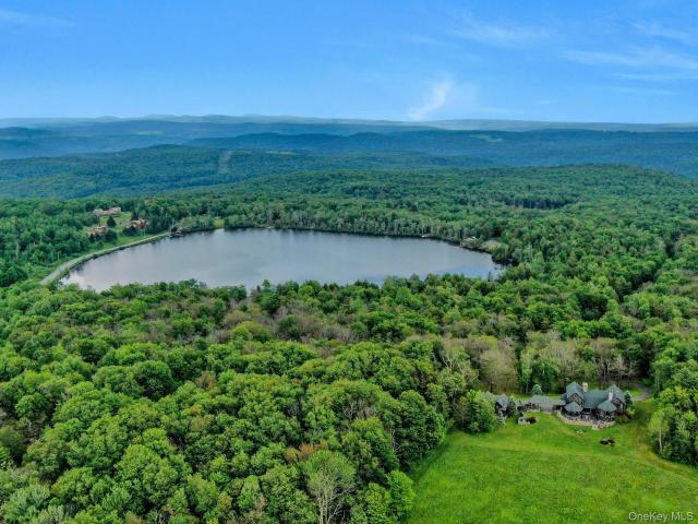 Lot 10 Wood Lake Trail, Roscoe, NY 12736 | MLS #945044 | Compass
