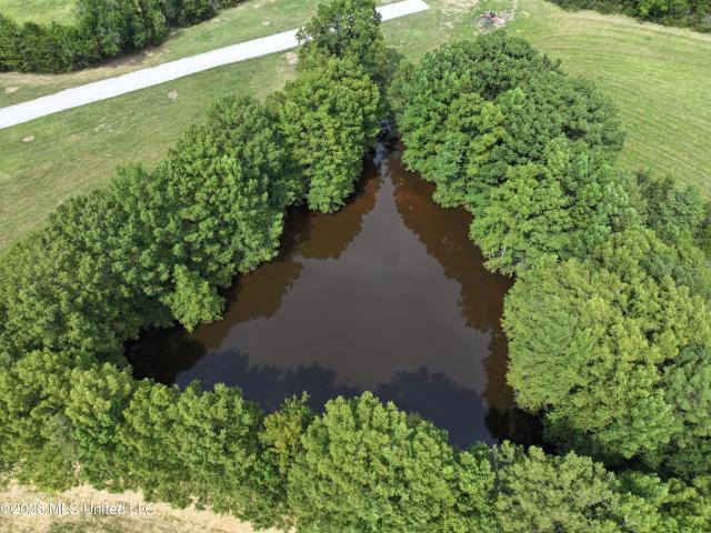 Lot 10 Wildwood, Clinton, MS 39056