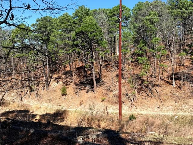 Lot 10 Wyman Lane