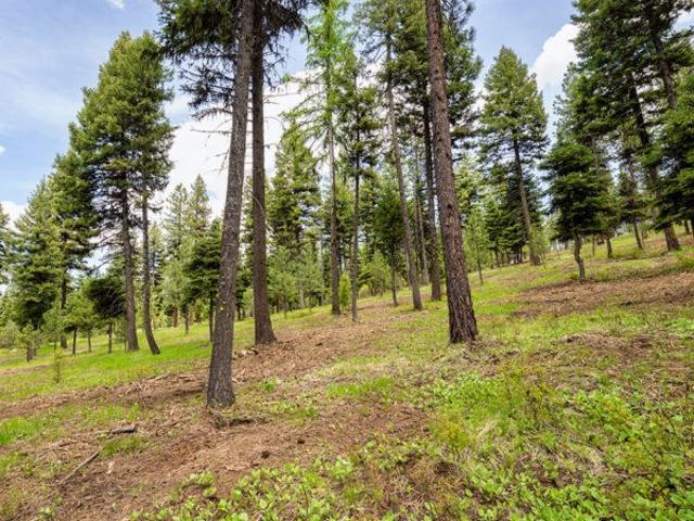 Lot 10 To Be Determined, Unit 10, McCall, ID 83638 | MLS #541664 | Compass