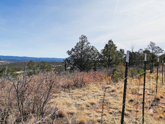 Lot 10 & Tract 2 off Monte Ver from Frontage 2116