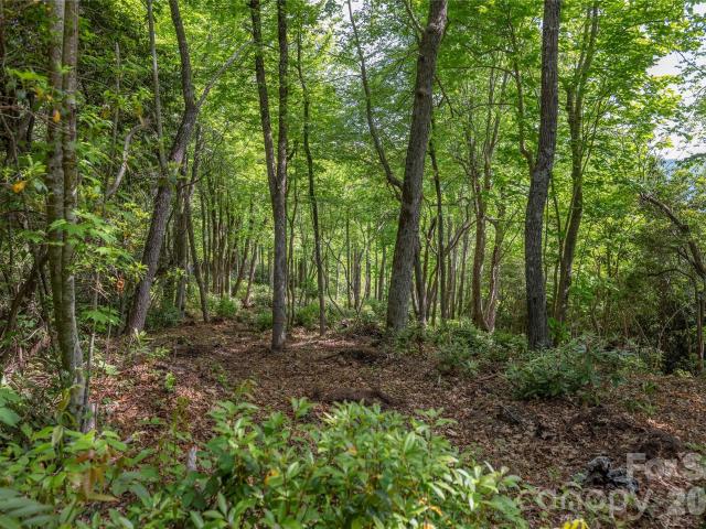 Lot 114R Toxaway Drive