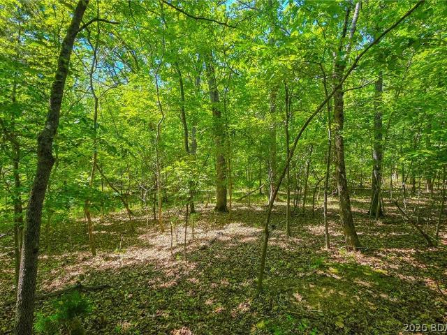 Lot #1150 Spring Creek Drive