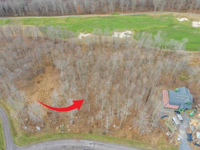 Lot 115 Biltmore View
