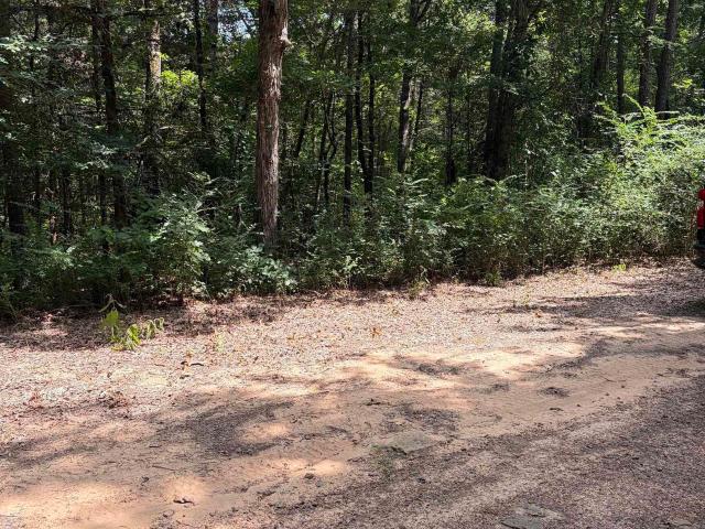 Lot 116 117 Del Rio Way