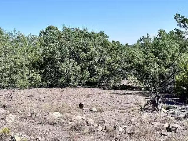 Lot 1173 N Wonderland Way, Seligman, AZ 86337 MLS 1067995