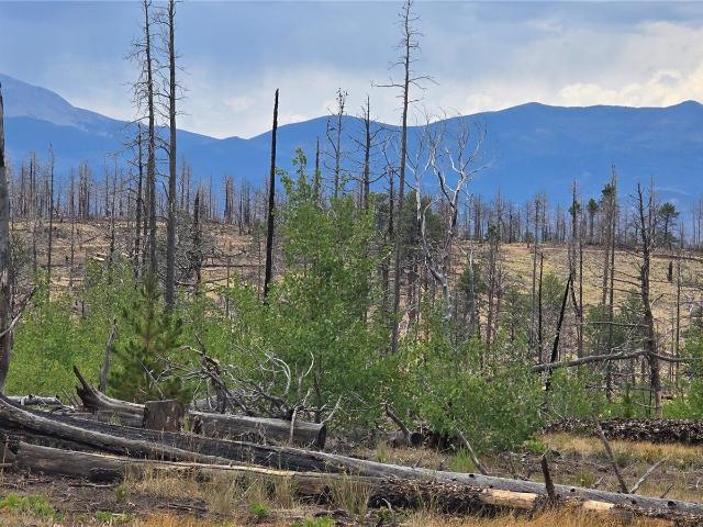 Lot 1177 Bechtel Place