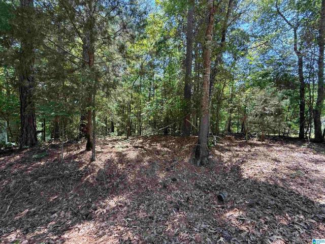 Lot 117 ashborough drive # 117