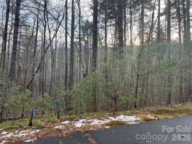 Lot 117 Huckleberry Ridge Lane