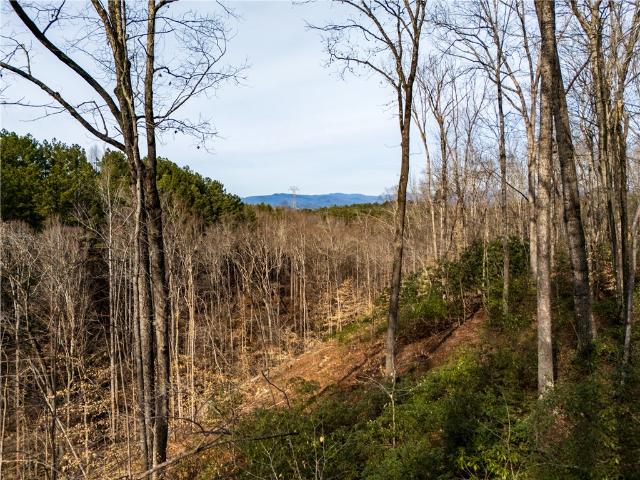 Lot 117 Pine Harbor Way, Salem, SC 29676 | MLS #20297