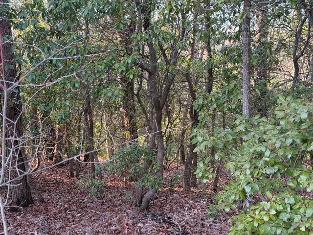 Lot #118 Royal View Landing