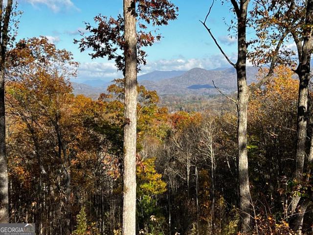 Lot 118 Winding Ridge, Blairsville, GA 30512 | MLS #10590 | Compass