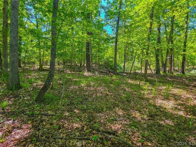 Lot #1190 Spring Creek Drive