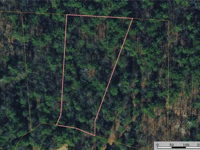 Lot 119 Rich Pine Drive