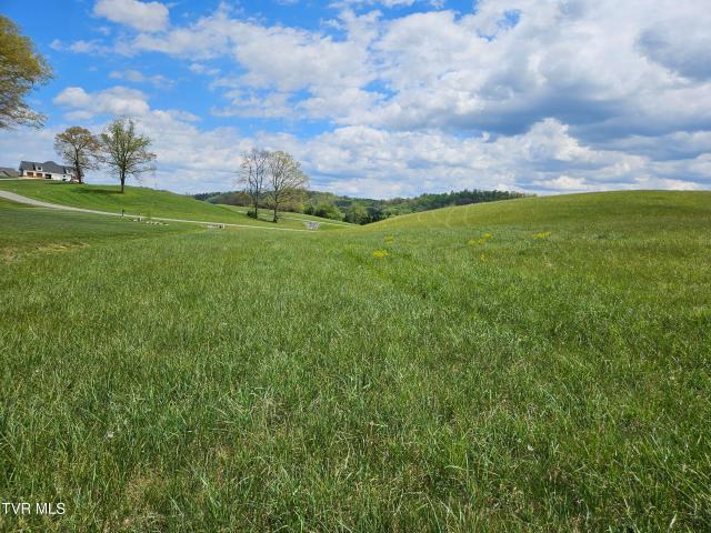 Lot 119 Yeary Trail