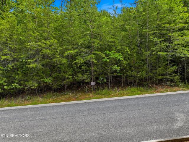 Lot 110 Eagles Ridge