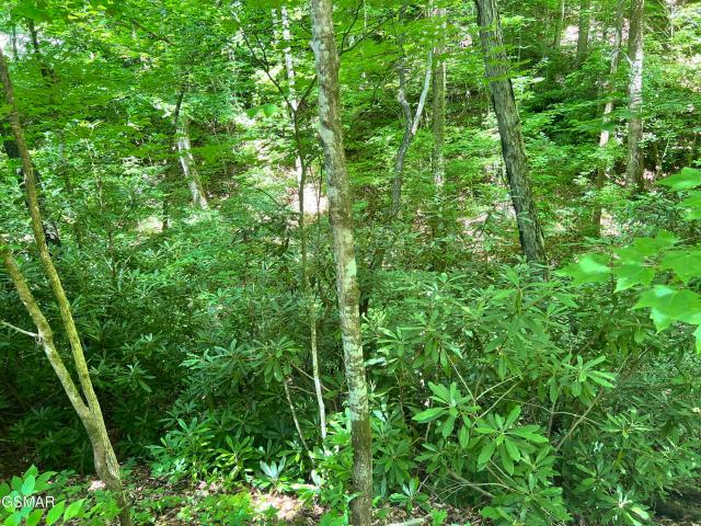 Lot 110 Fir Drive