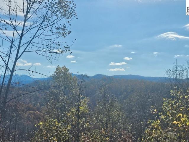 Lot 110 Settlers Knob Road