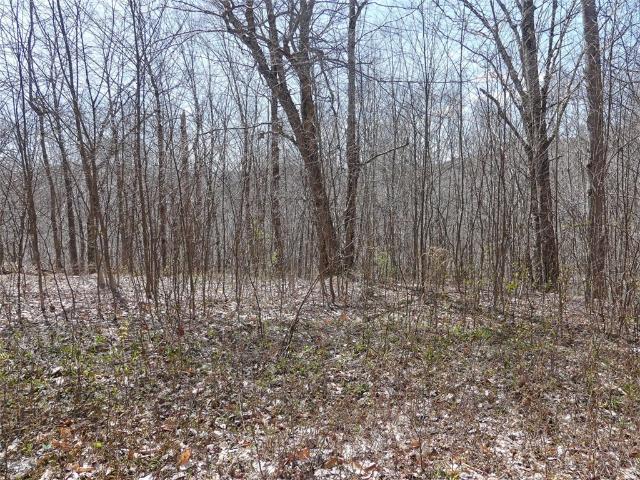 Lot 11.2 Alpine Drive