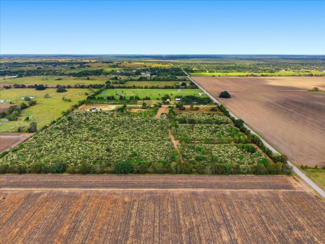 Lot 11 Cow Creek Rd, Damon, TX 77430 | MLS #55550