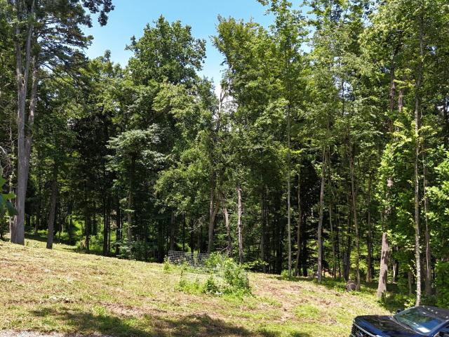 Lot 11 Cherokee Drive