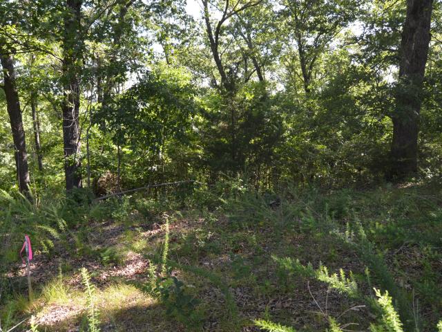 Lot 11 Cliffside Drive