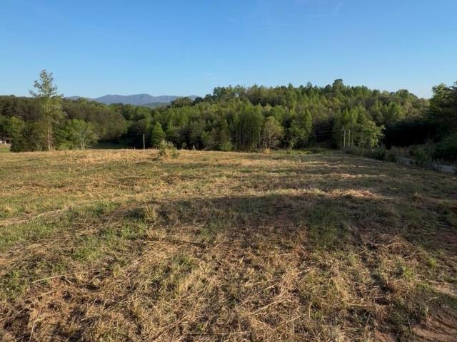 Lot 11 Curtis Rd, Tellico Plains, TN 37385