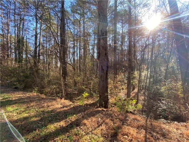 Lot 11 Belletta Dr, Canton, GA 30114 | MLS #7732 | Compass