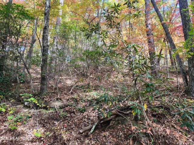 Lot 11 Bluff Mtn. Rd