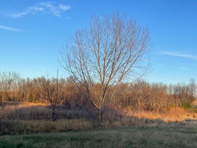 Lot 11 Block 1 Donway Place NE
