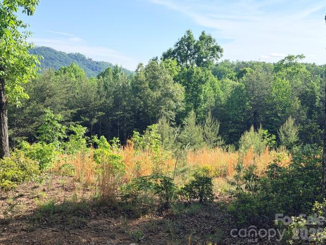 Lot 11 Brookside Parkway
