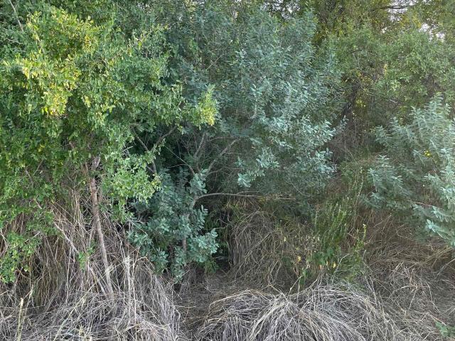 Lot 11 Falcon Mesa