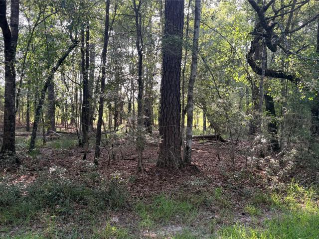 Lot 11 Hackberry Drive