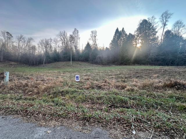Lot 11 Hensley Road
