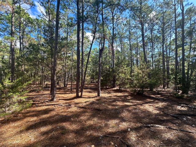 Lot 11 Hickory Ridge Dr
