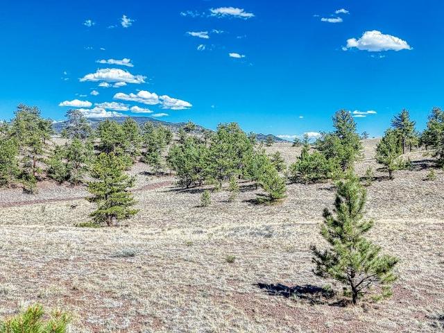 Lot 11 Hwy 9