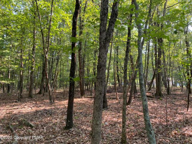 Lot 11 Metzger Road