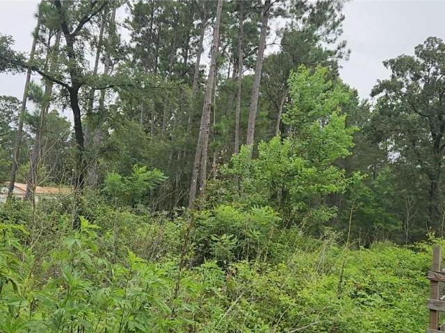 Lot 11 Scarlet Oak Drive