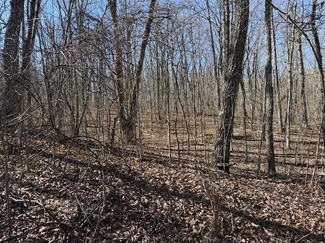 Lot 11 Shadowland Dr, Unit 11B, Graysville, TN 37338 | MLS #1529 | Compass