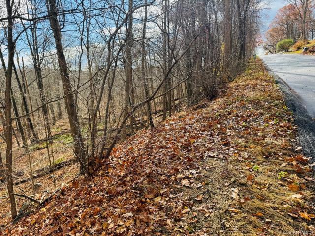 Lot 11 Shamrock Dr, Putnam Valley, NY 10579 | MLS #942564 | Compass