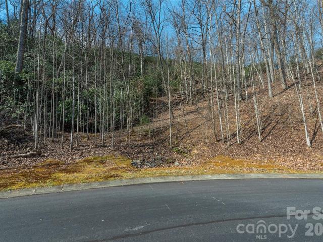 Lot 11 Shining Rock Path