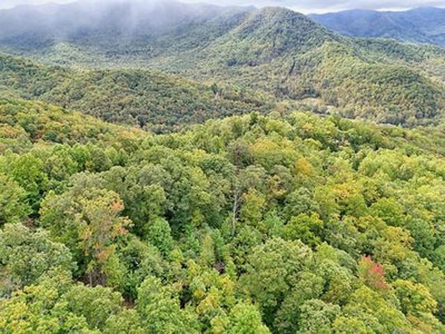 Lot 11 Skyview Drive # 11