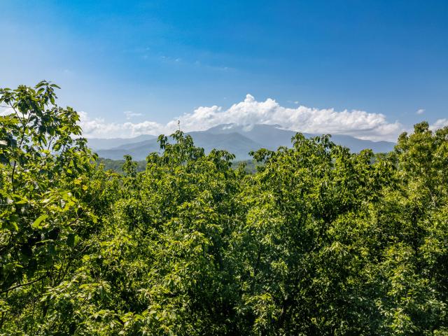 Lot 11 Spring Hill Drive